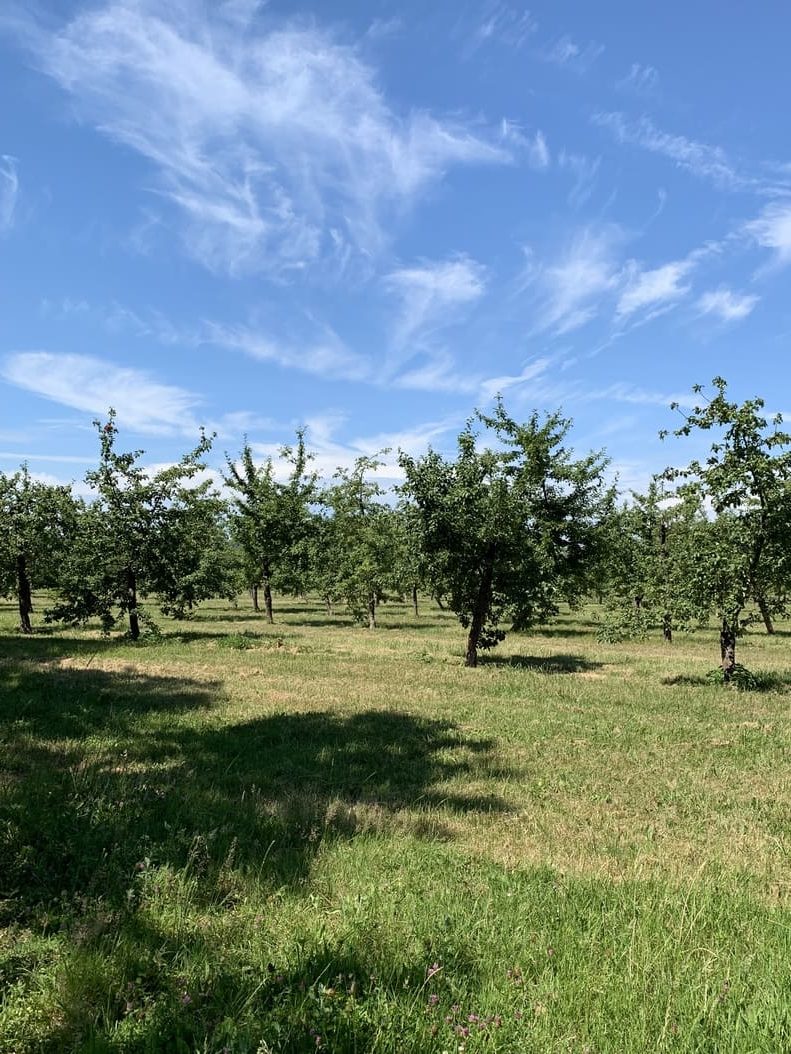 10 raisons de partir à Cambremer au coeur du pays d'Auge