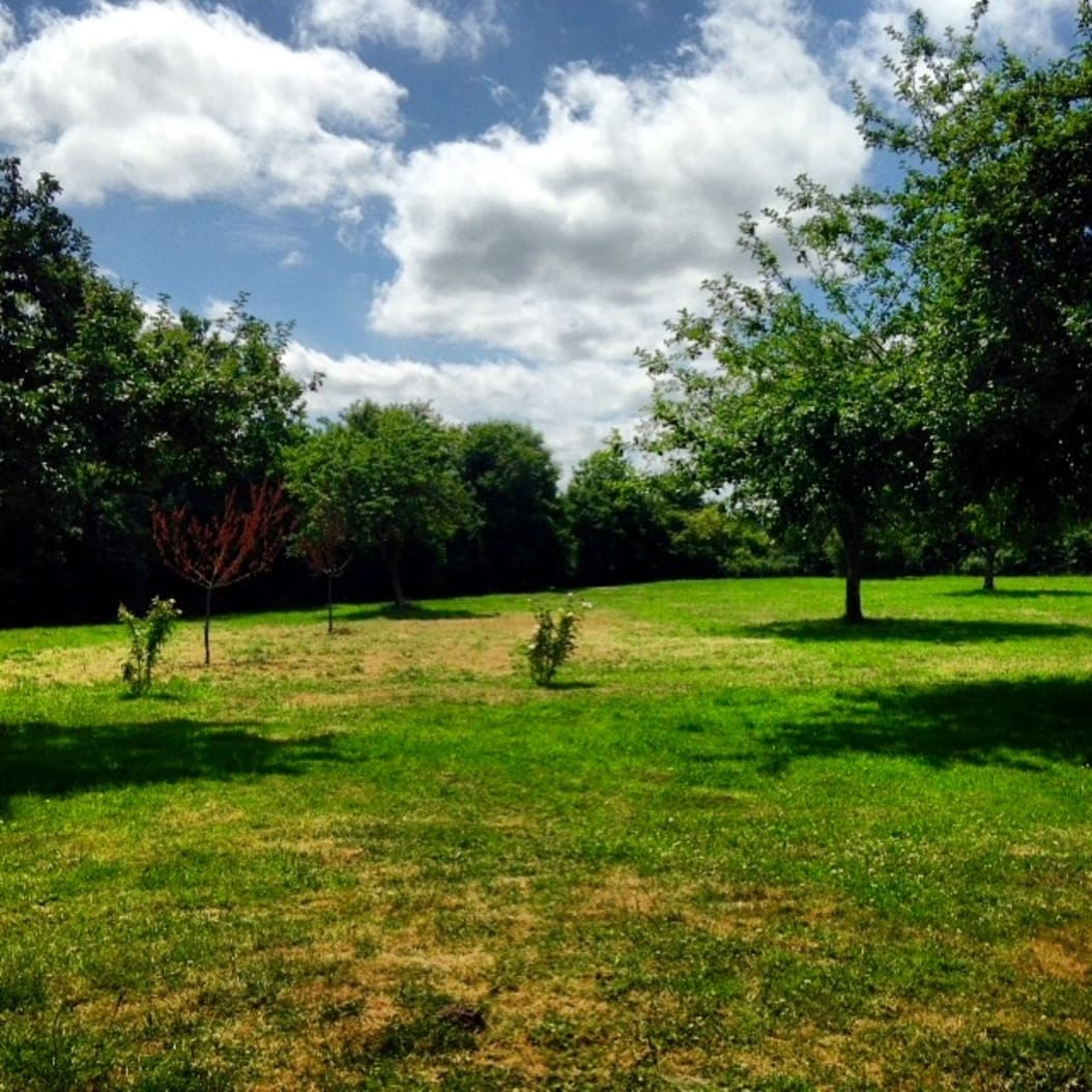 10 raisons de partir à Cambremer au coeur du pays d'Auge